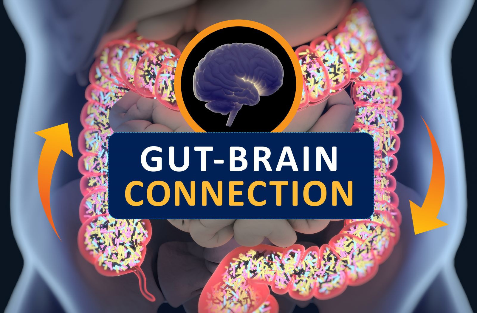 The Gut-Brain Axis: The Vital Connection Influencing Your Health and ...