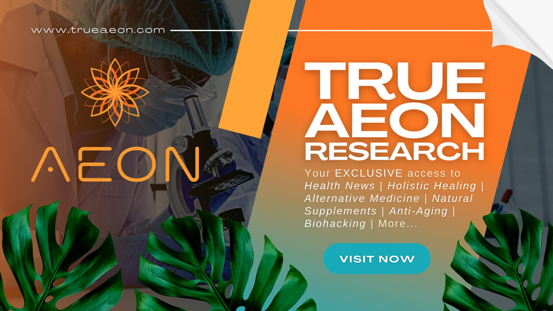 Blog - AEON - Total Immune & Gut Health